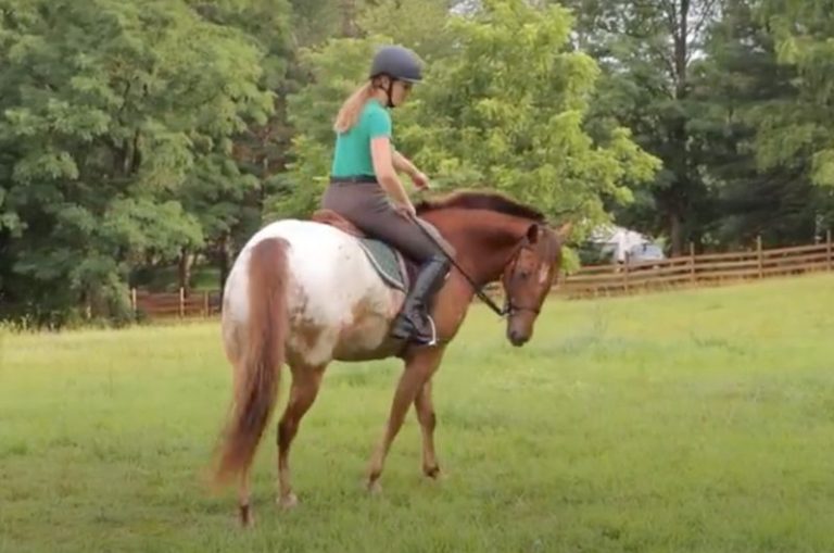 How To Respond When Your Horse Starts Bucking