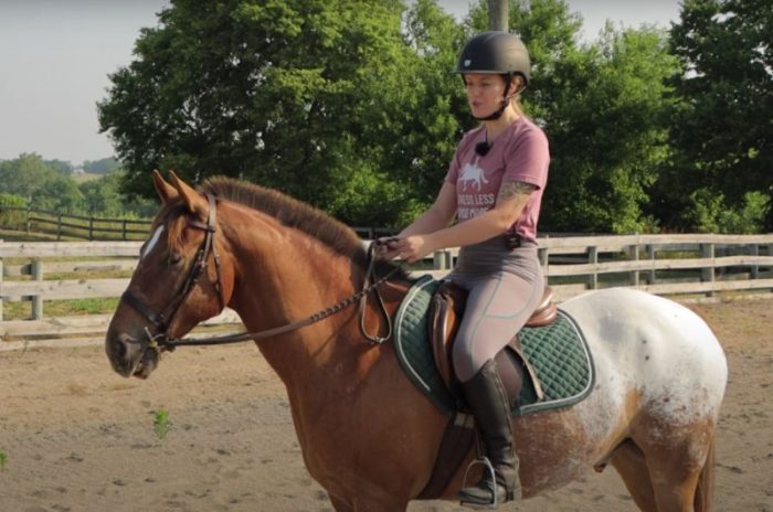 How to Ask Your Horse to Canter: Step-by-Step Guide