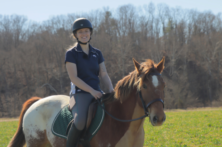 Online Horse Courses | Horse Courses That Actually Help