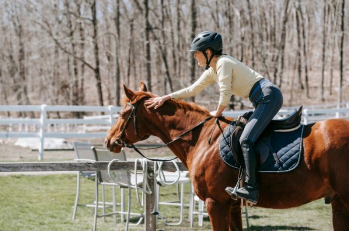 The Max Weight A Riding Horse Can Carry: Read Before Riding