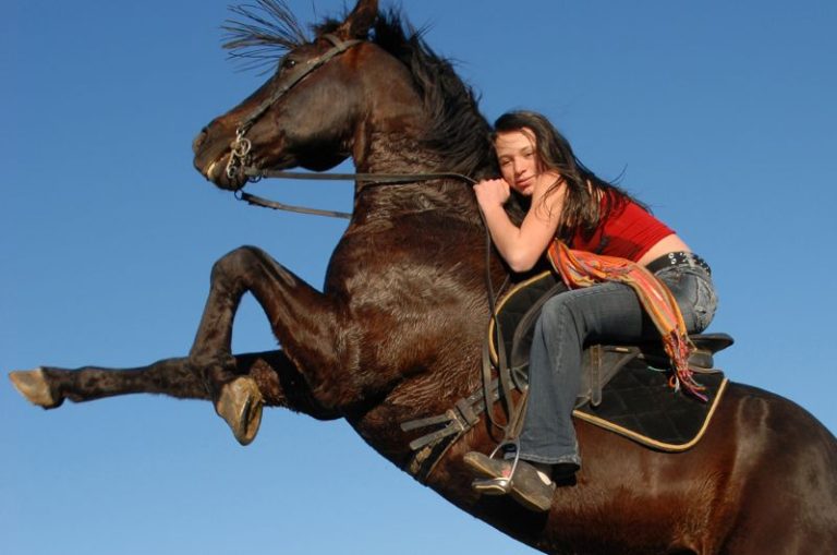 How to Respond When Your Horse Starts Rearing