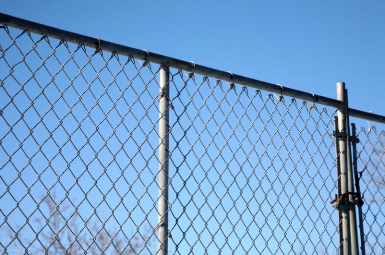 Wire Fencing For Horses: Everything You Need To Know