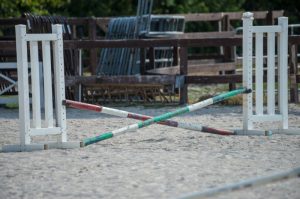 Every Type of Horse Jump (With Pictures)