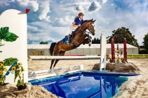 Every Type of Horse Jump (With Pictures)