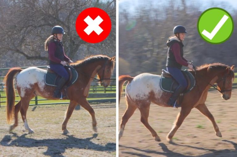 Equine Helper | Horseback Riding Tips, Tricks, and Gear