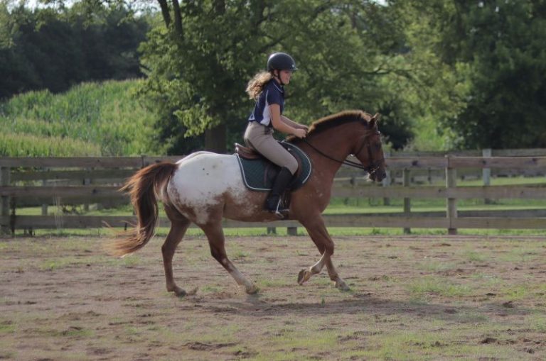 What to Do if Your Horse Bolts: Step-By-Step Guide