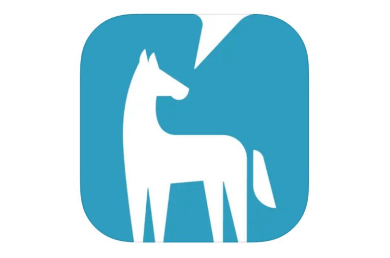 11 Best Horse Riding Apps for Equestrians
