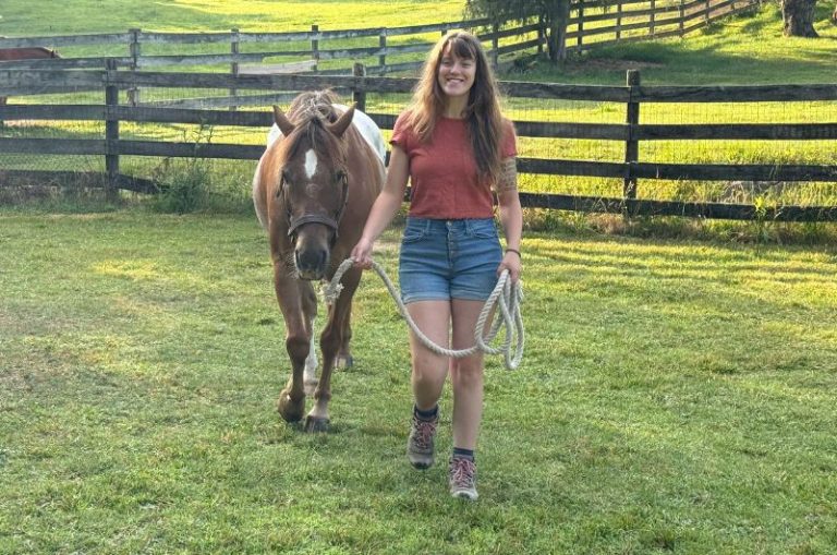 How to Lead a Horse: Beginner's Guide