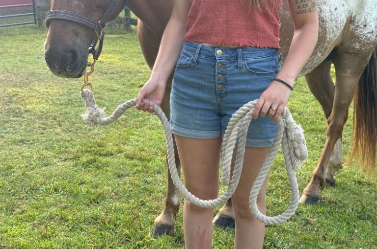 How to Lead a Horse: Beginner's Guide