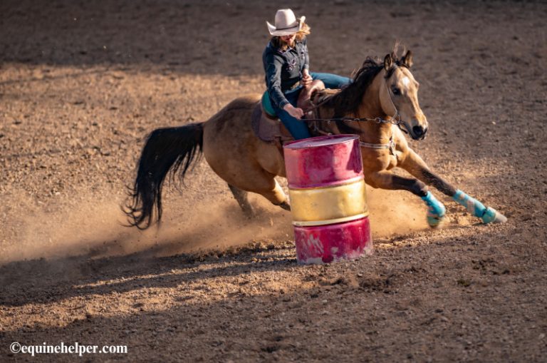 24 Top Rodeo Quotes & Sayings (Picked by an Equestrian)