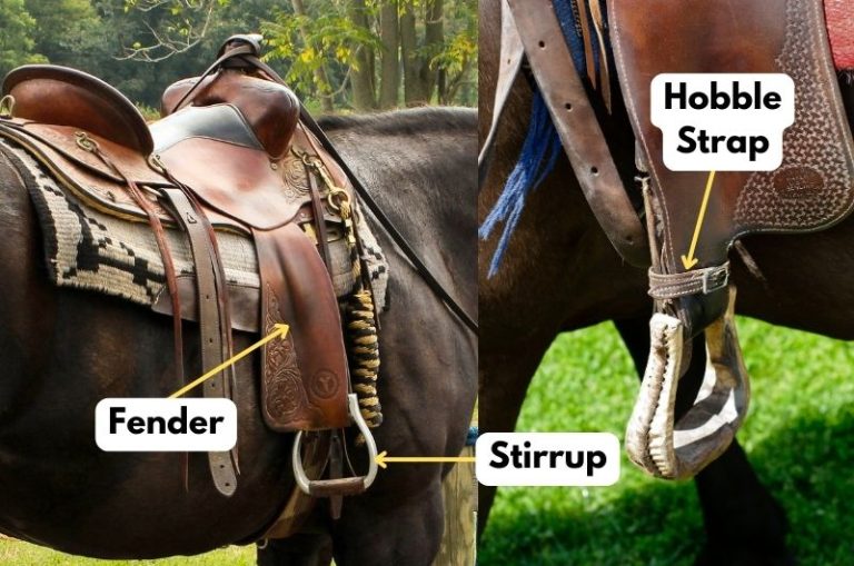 Western Saddle Parts And What They’re Called