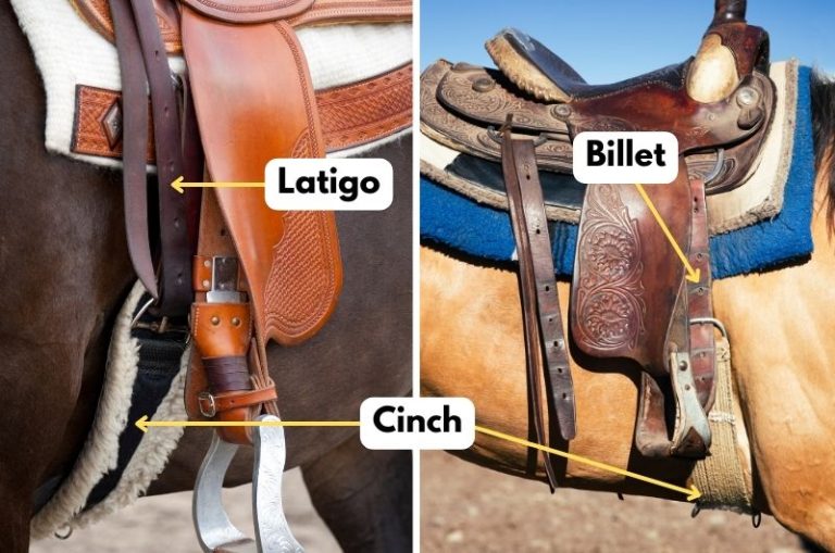 Western Saddle Parts And What They’re Called