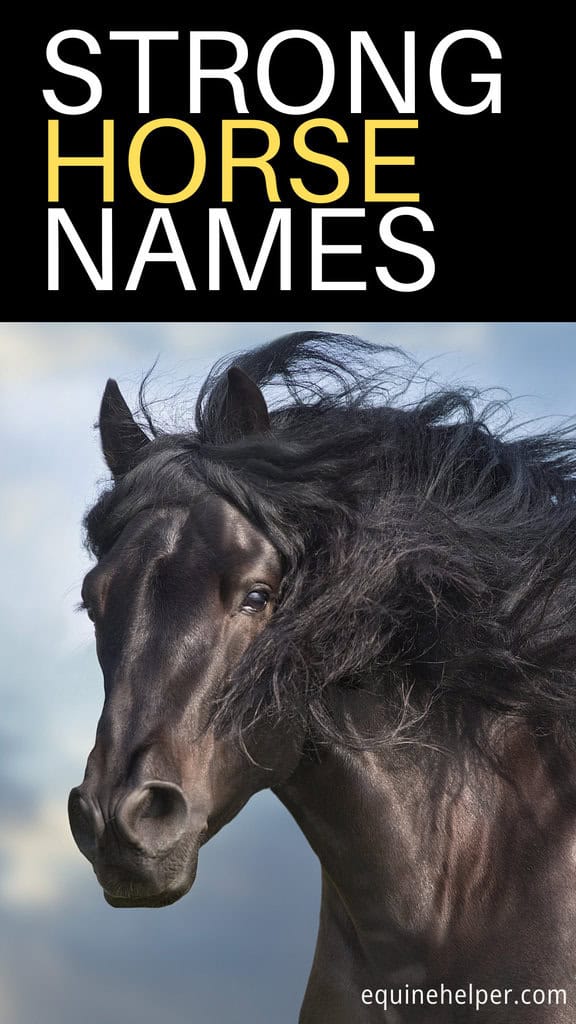 100 Big, Strong, Powerful Horse Names