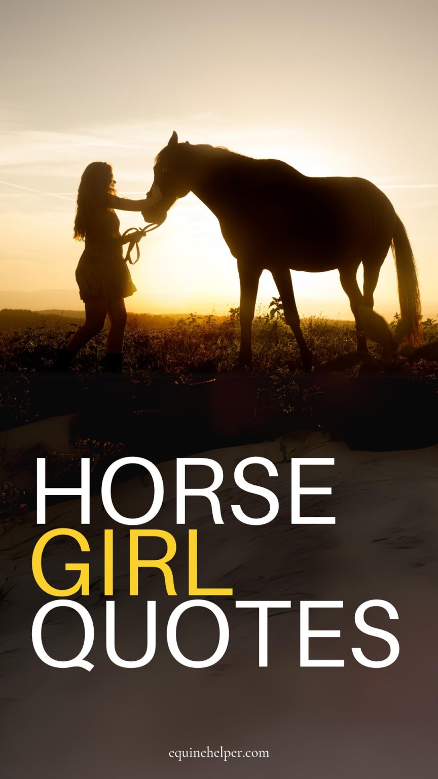 31 Top Horse Girl Quotes & Sayings