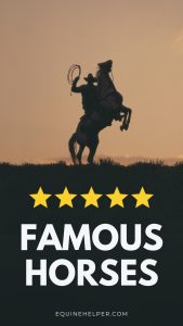 Top 29 Famous Horses In TV Shows & Movies