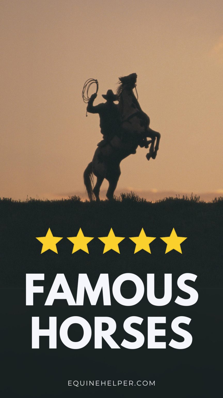 Top 29 Famous Horses In TV Shows & Movies
