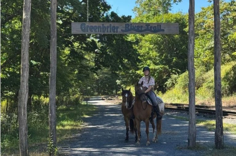 Equine Helper | Horseback Riding Tips, Tricks, and Gear