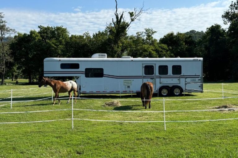 Equine Helper | Horseback Riding Tips, Tricks, and Gear