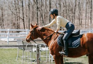 When To Stop Riding Your Horse