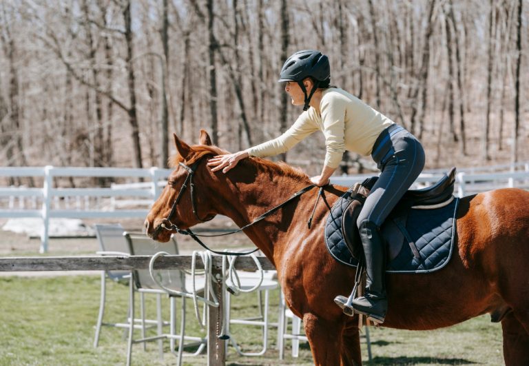 When To Stop Riding Your Horse