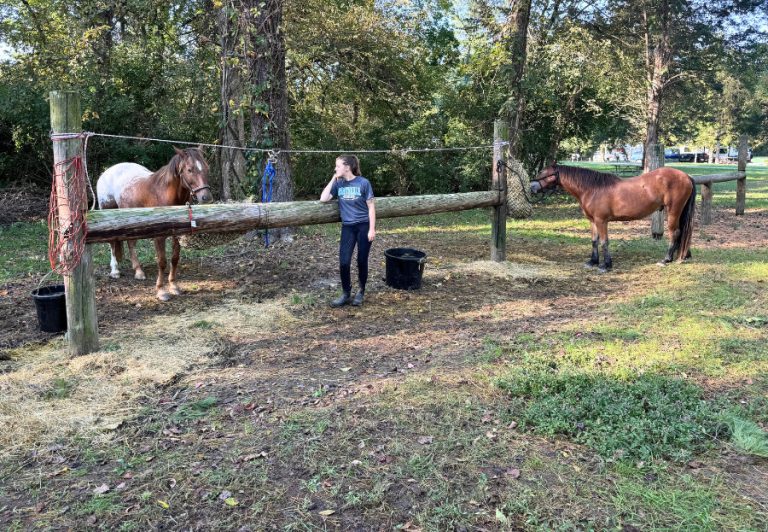 Horse Camping Essentials: Complete Guide for Beginners