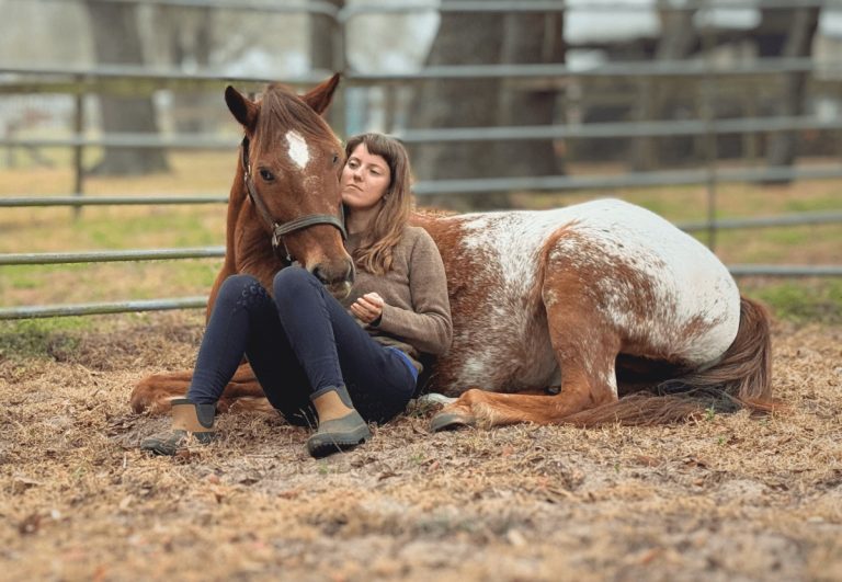 Equine Helper | Horseback Riding Tips, Tricks, and Gear